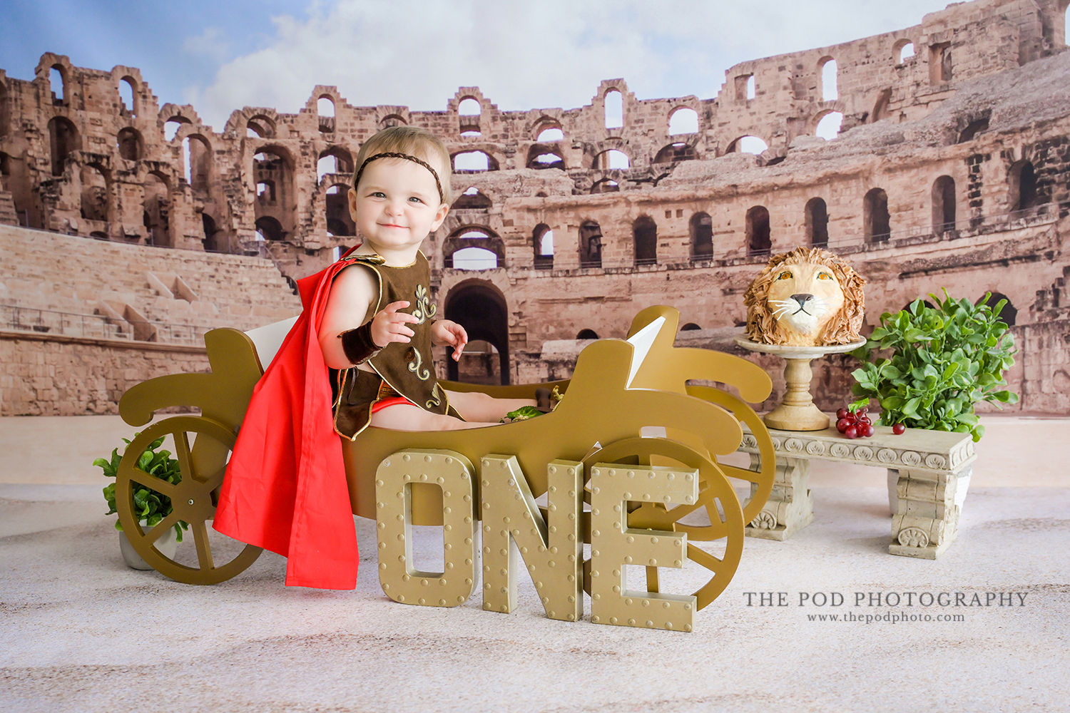 First Birthday Cake Smash Gladiator Portrait Session - Los Angeles ...