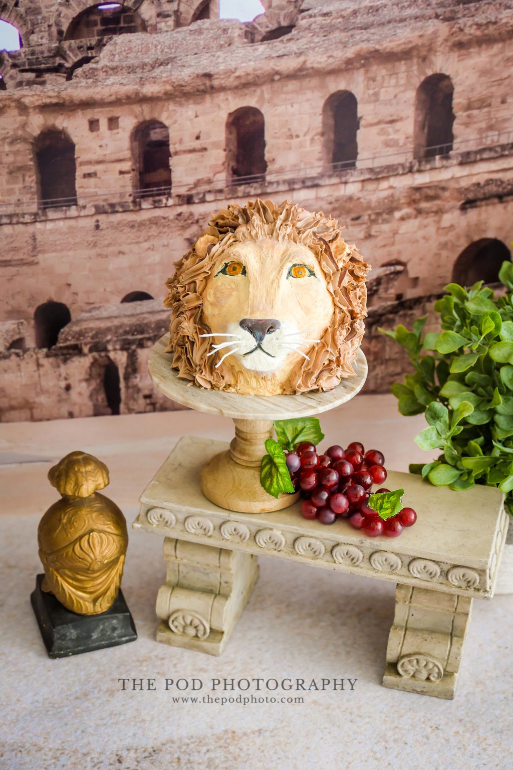 First Birthday Cake Smash Gladiator Portrait Session - Los Angeles ...